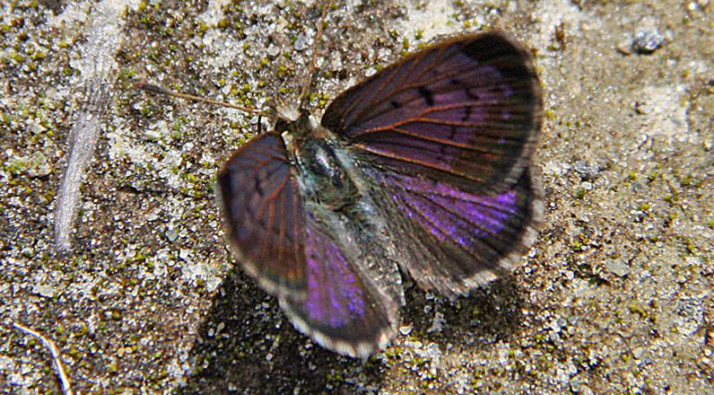 Silverstream Reserve - Christchurch Envirohub